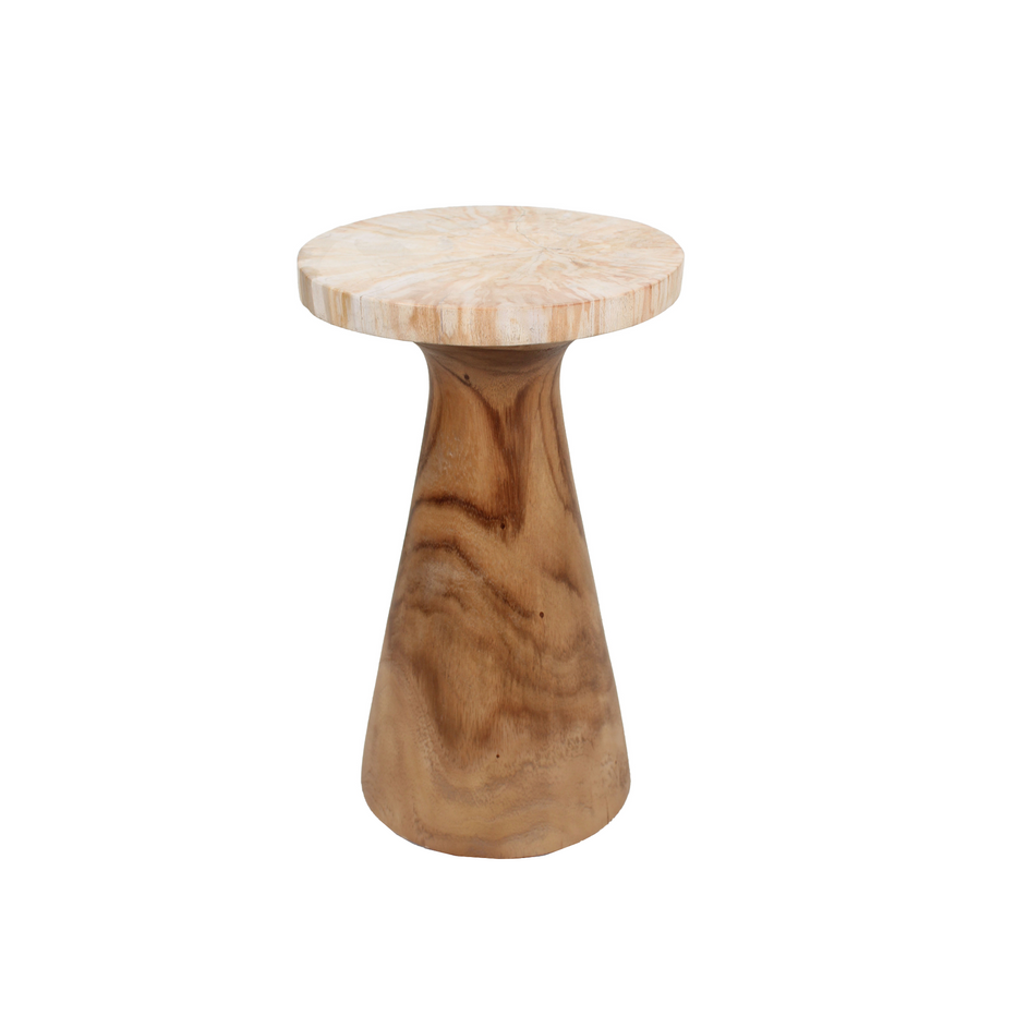 Exquisite Kayu Petrified Wood Pedestal Table: Unique Home Decor Accent ...