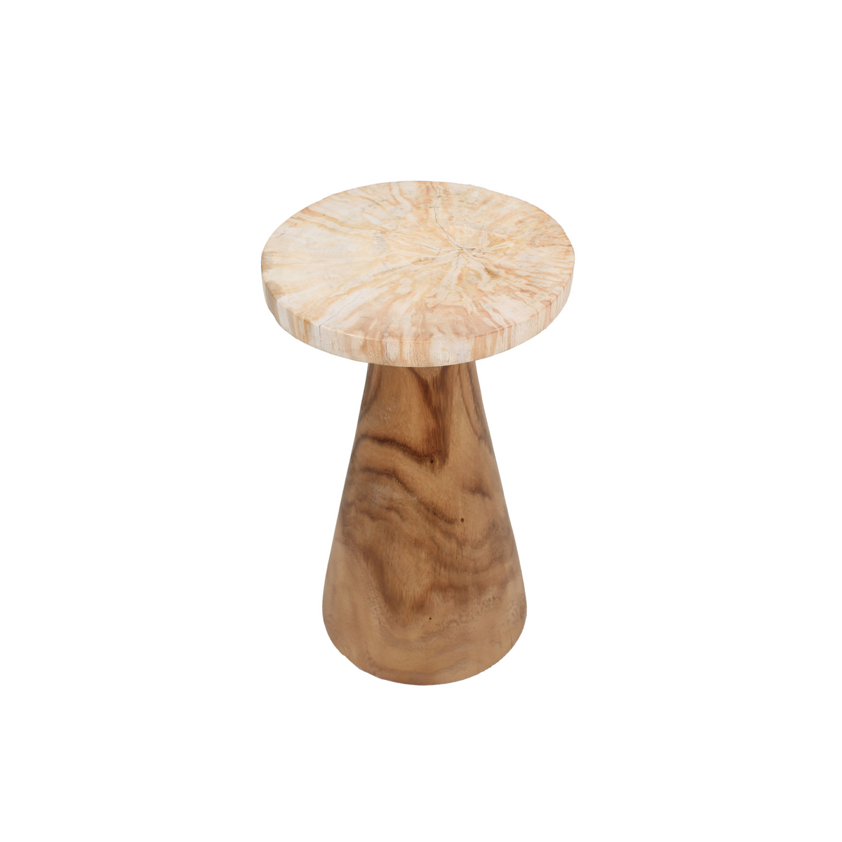 Exquisite Kayu Petrified Wood Pedestal Table: Unique Home Decor Accent ...